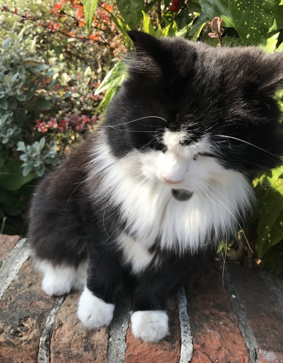 人間関係における最上級の魔法。 - 潜在意識美人®︎Style